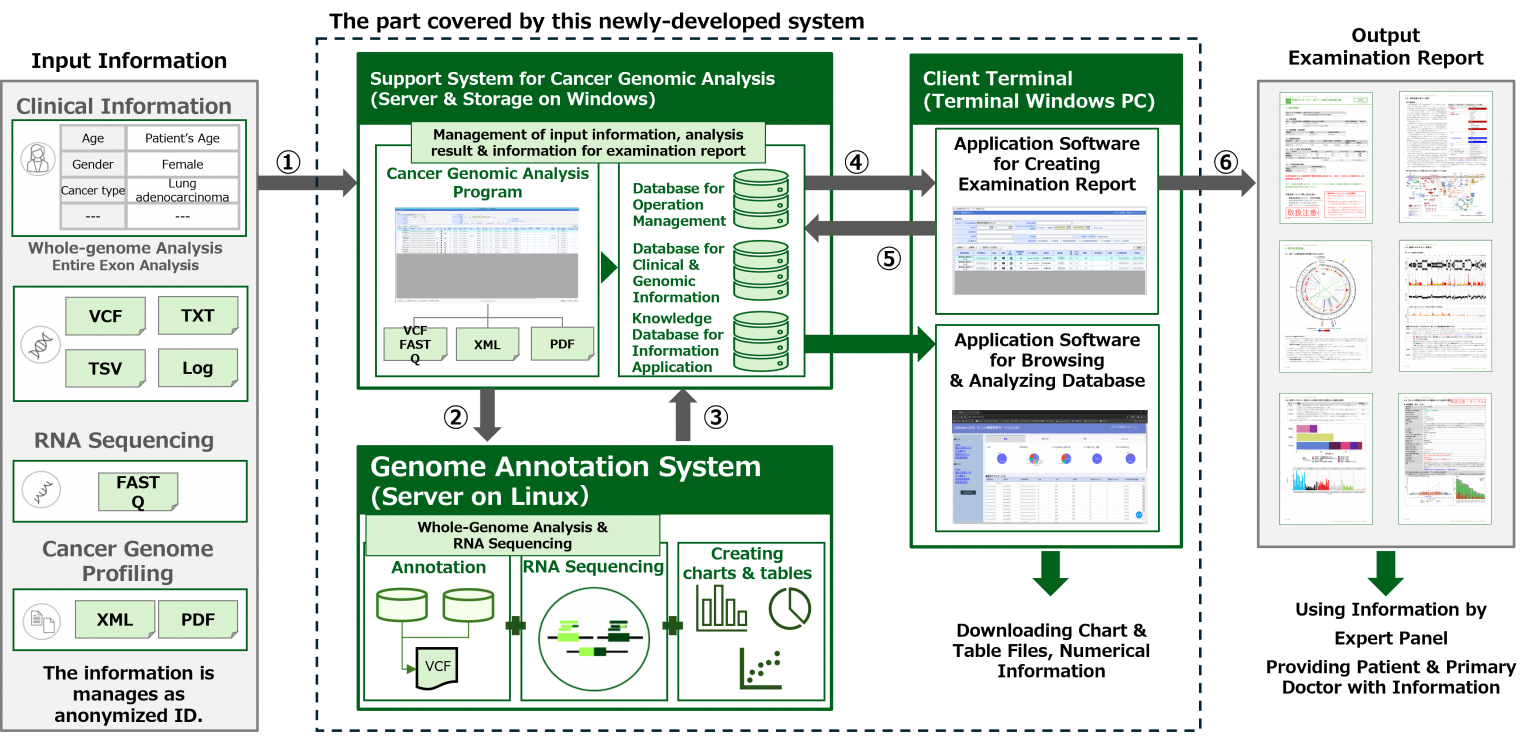 Japan’s First “Integrated Management System for Cancer Genomic Medicine ...